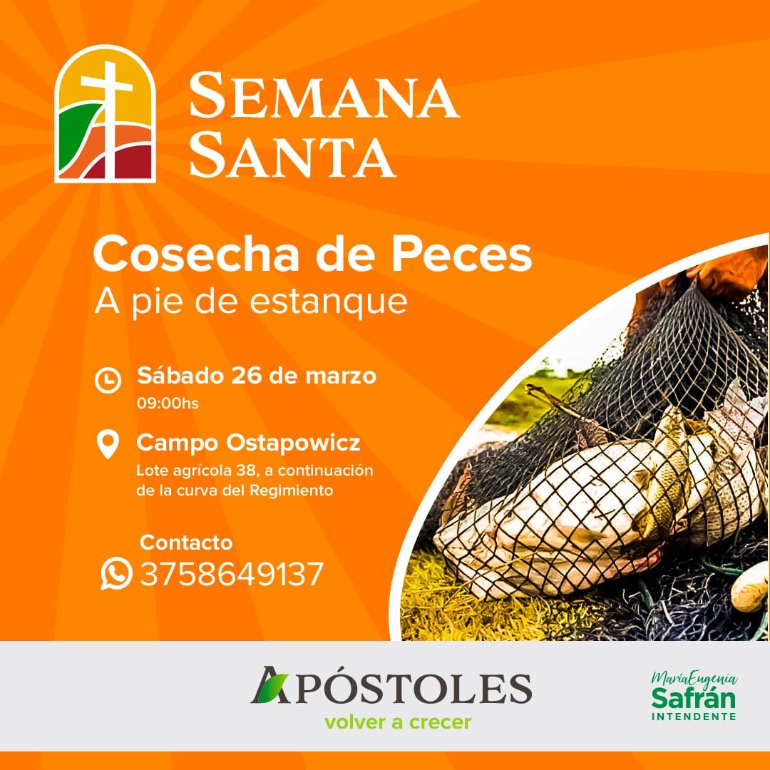 El sábado en Apóstoles se podrá elegir el pez de estanque y te lo dan ...