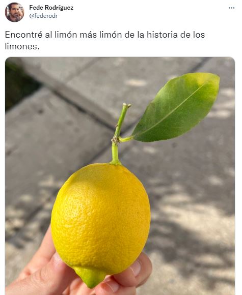 Viral en Twitter: El limón más limón de la historia de los limones es ...