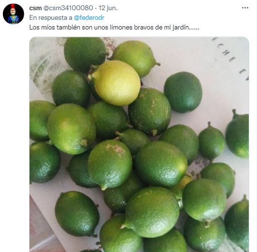 Viral en Twitter: El limón más limón de la historia de los limones es ...