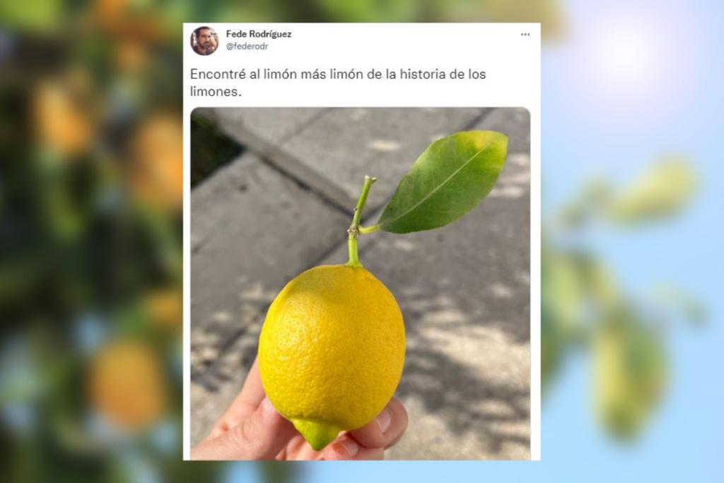 Viral en Twitter: El limón más limón de la historia de los limones es ...