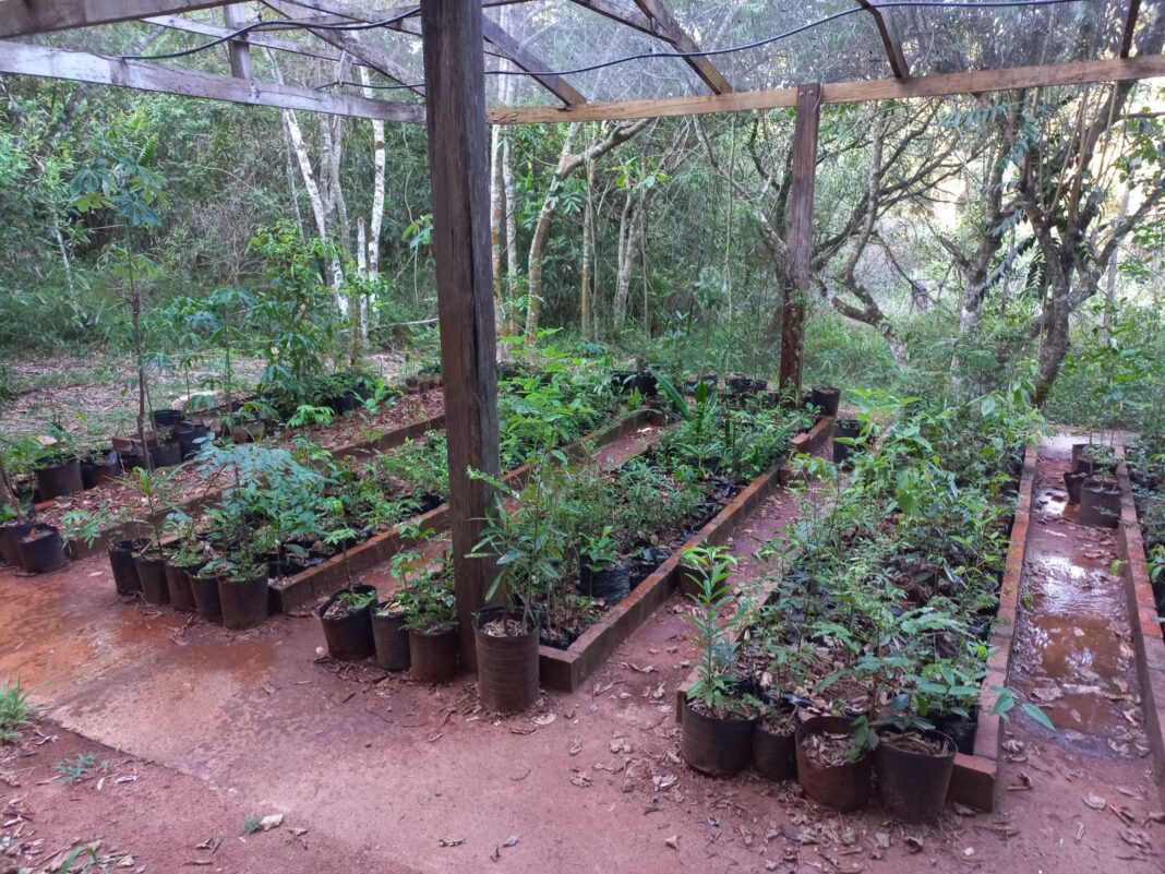 #VeranoenMisiones | Parque Provincial Teyú Cuaré, una alternativa para ...