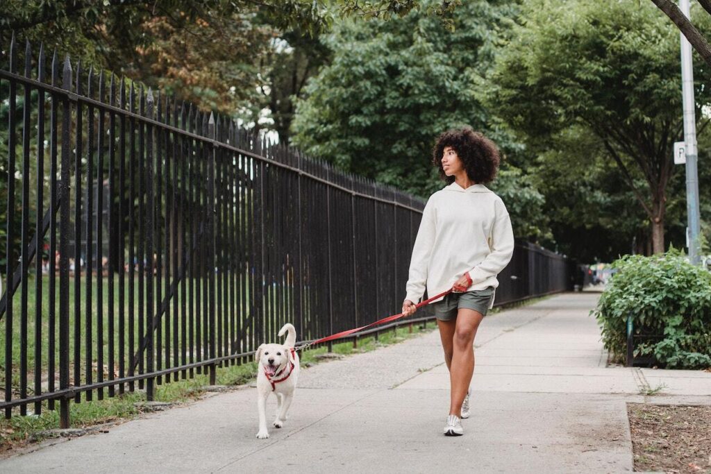 Pasear junto a tu perro: conocé los 7 mejores destinos petfriendly