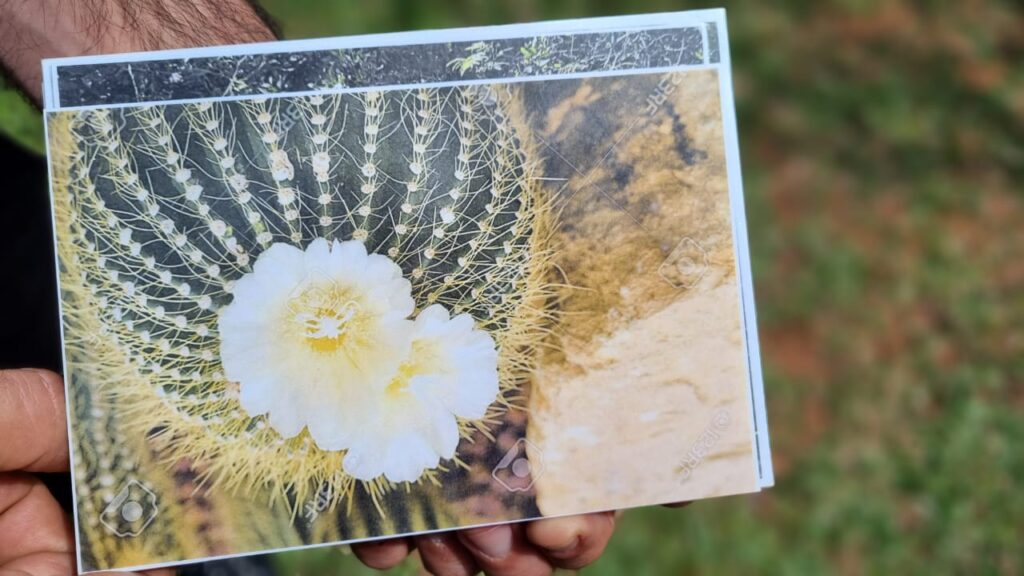 Visita la maravilla natural de San Ignacio: Reserva Osununu y su ...