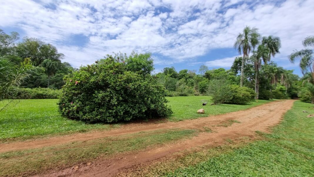 Visita la maravilla natural de San Ignacio: Reserva Osununu y su ...