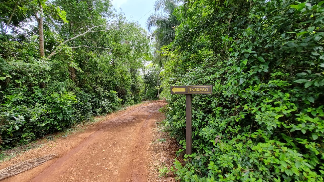 Visita la maravilla natural de San Ignacio: Reserva Osununu y su ...