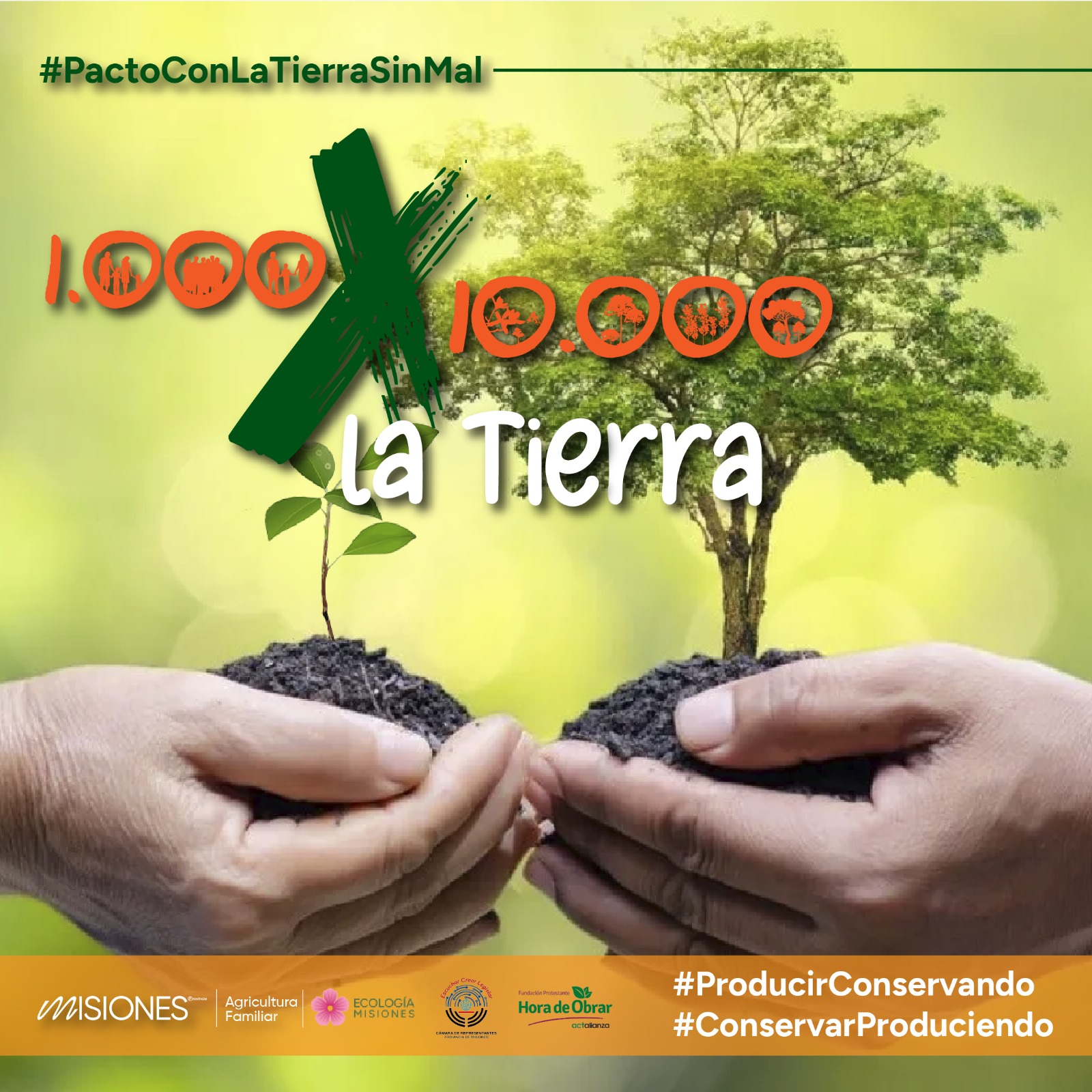 Iniciativa conjunta en Misiones busca reforestar 10.000 árboles nativos ...
