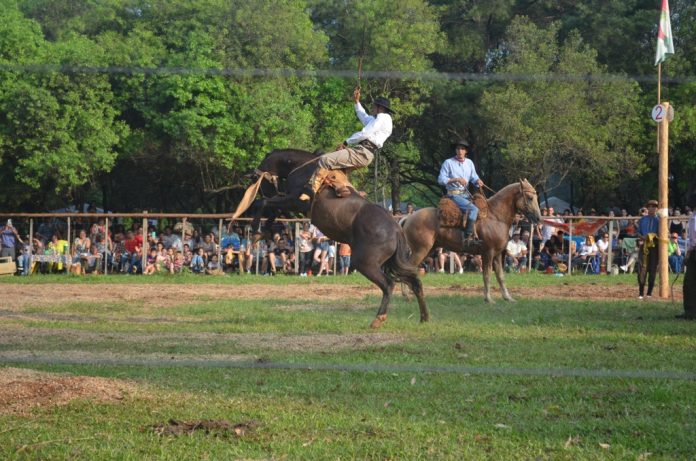 Mirá todas fotos de la Fiesta Provincial de Lechón que se realizó ayer ...