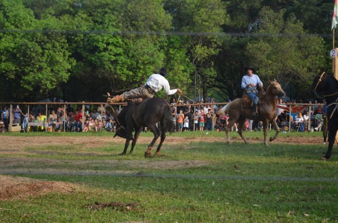 Mirá todas fotos de la Fiesta Provincial de Lechón que se realizó ayer ...