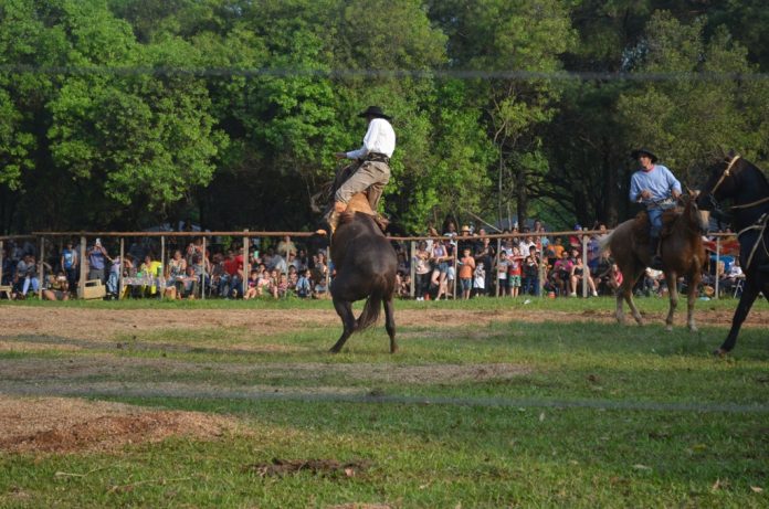 Mirá todas fotos de la Fiesta Provincial de Lechón que se realizó ayer ...