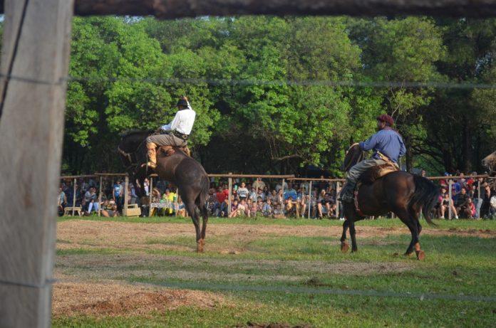 Mirá todas fotos de la Fiesta Provincial de Lechón que se realizó ayer ...