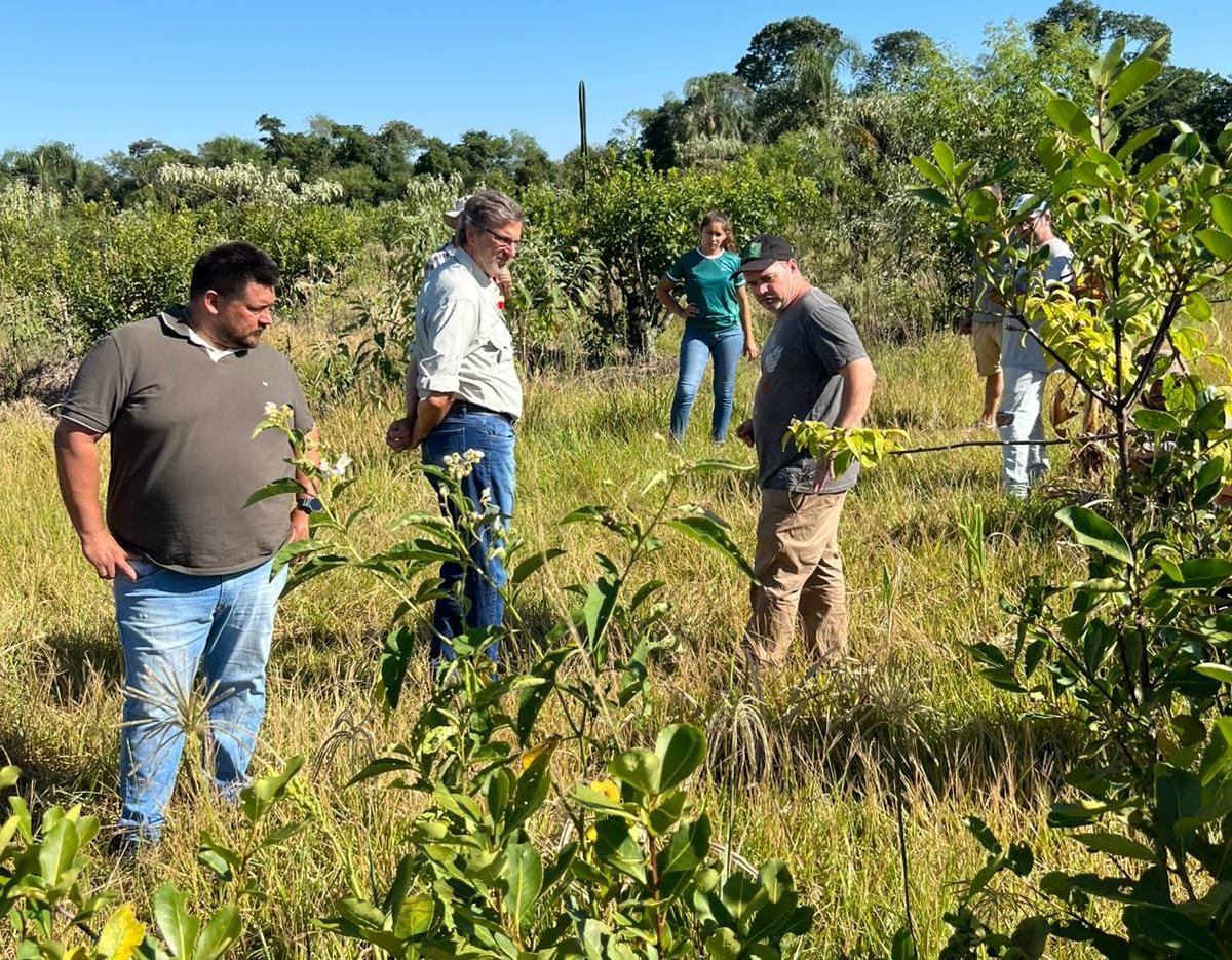 Misiones suma una nueva chacra agroecológica en el municipio de Oberá ...