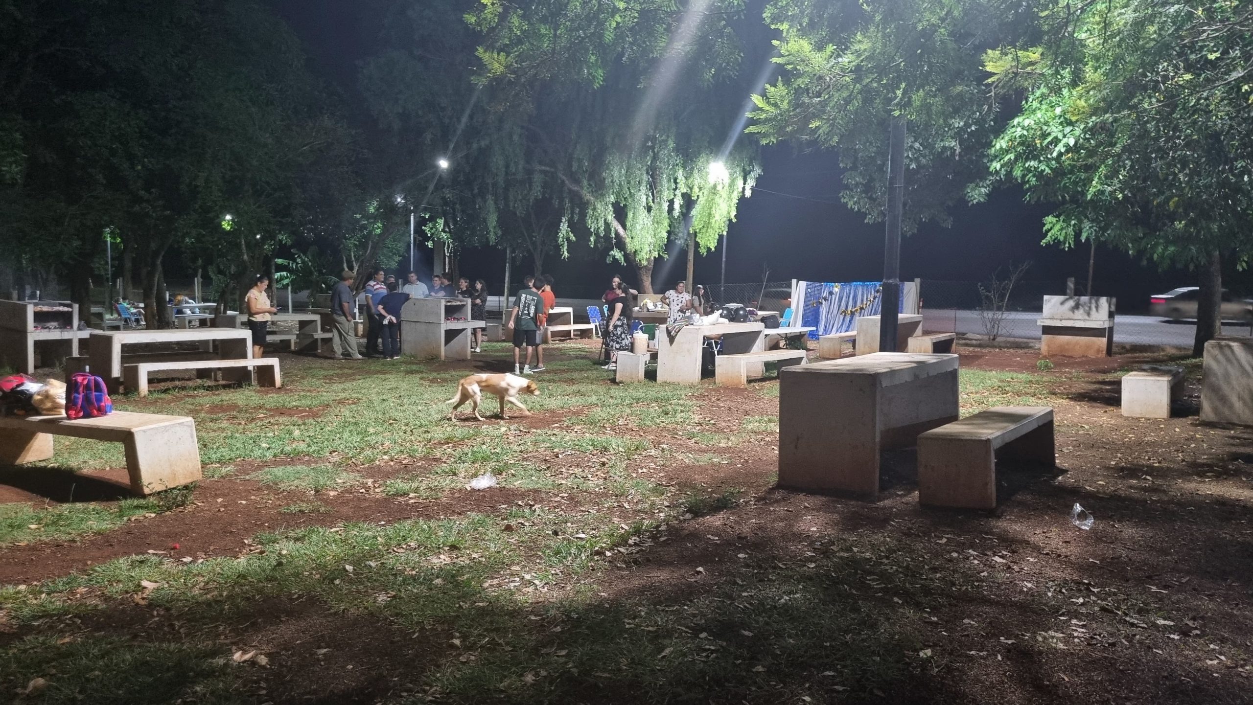 Posadas | El Parque de la Ciudad es uno de los espacios elegidos para ...