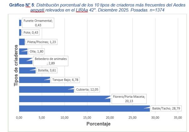 Dengue en Posadas | El operativo LIRAa reveló que el 12% de las ...