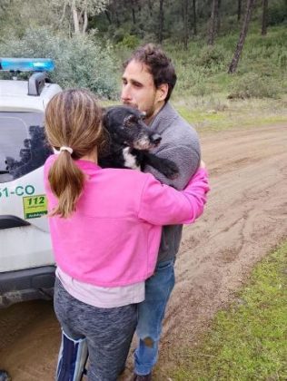 España: Rescatan a "Boro", el perro que sobrevivió y escapó tras la ...