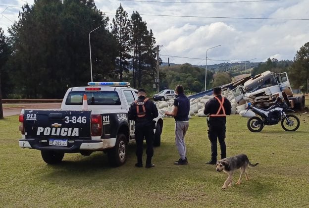 Dos de Mayo | Despistó un camión cargado con yerba y el conductor ...